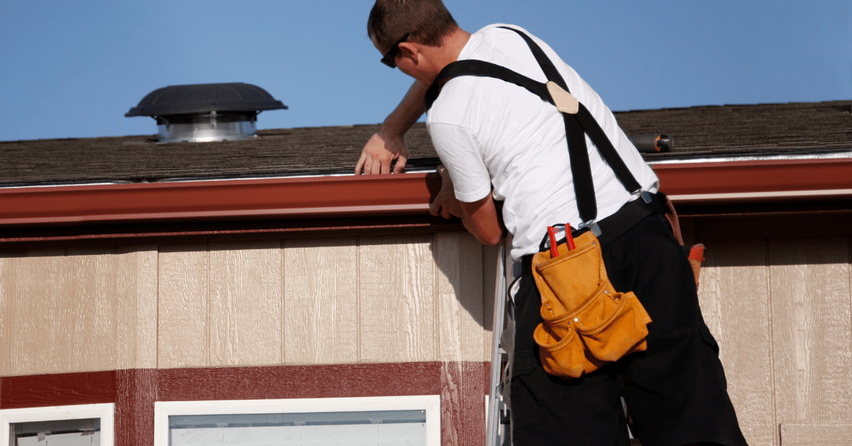 DIY vs Professional Installation of Mesh Gutter Guards