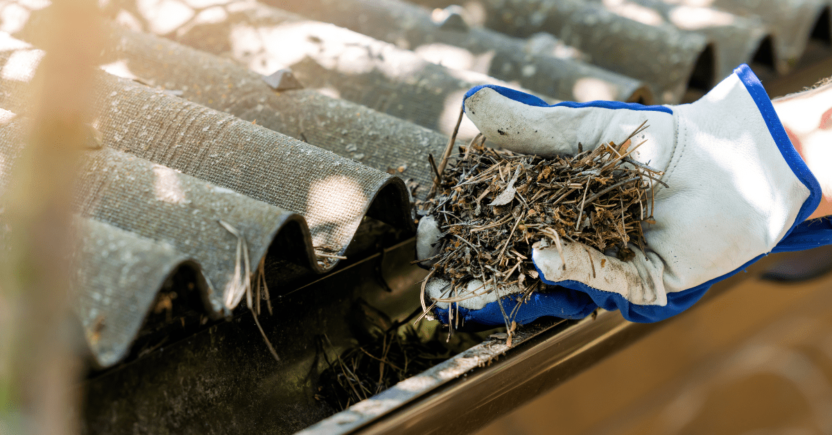 Common Issues with Mesh Leaf Guards and Solutions