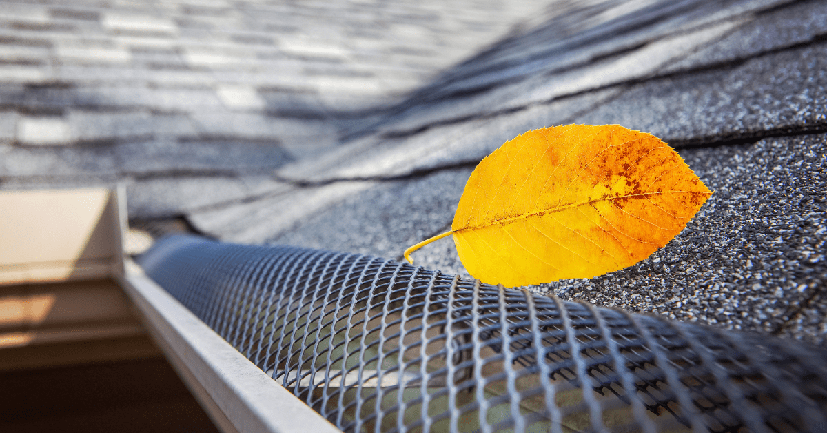 The Cost-Effectiveness of Mesh Leaf Guards